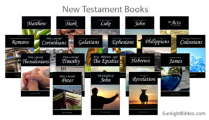 New Testament Set of Bible Books (27 books in 19 volumes) – Sunlight Bibles